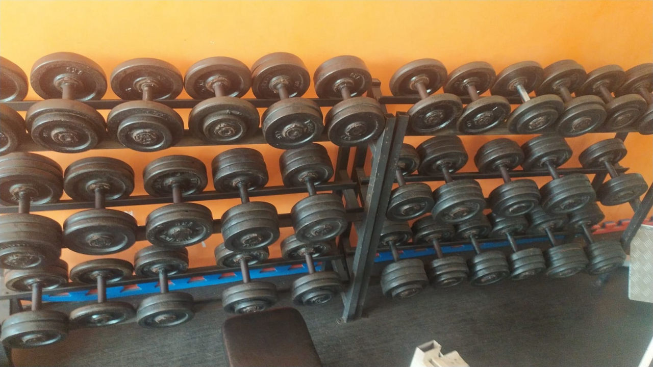 estante de halteres completa com 11 pares de Halteres de 14 e 34 kg ...
